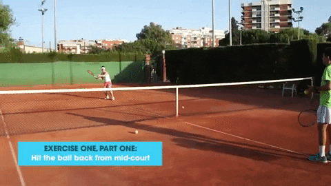 Tennis Coach GIF by fitintennis - Find & Share on GIPHY