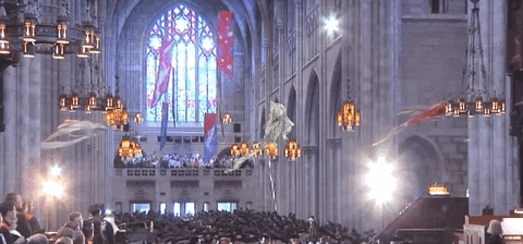 Princeton University GIF - Find & Share on GIPHY