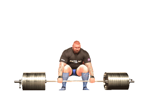 The Mountain Thor Sticker by Rogue Fitness for iOS & Android | GIPHY