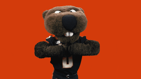 Oregon State Osu GIF by Oregon State University - Find & Share on GIPHY