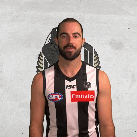 CollingwoodFC GIF - Find & Share on GIPHY