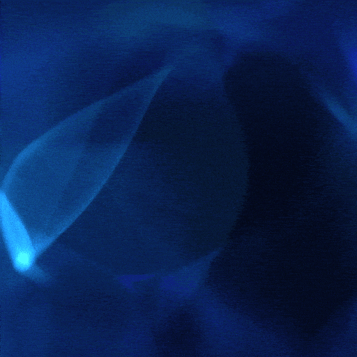 xponentialdesign GIF - Find & Share on GIPHY