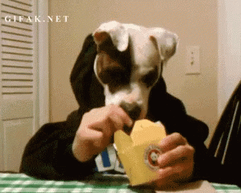 Chinese Food GIF by memecandy - Find & Share on GIPHY