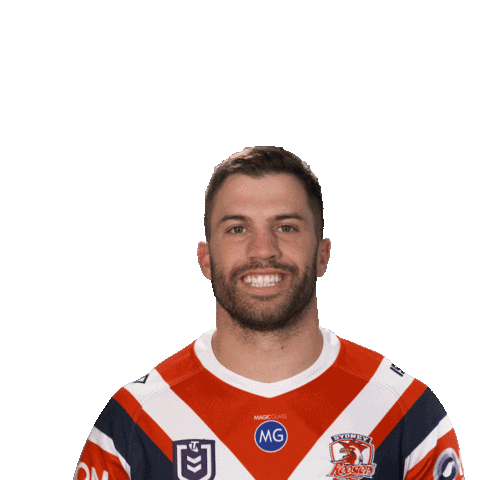 Sydney Roosters Finals Sticker by NRL for iOS & Android | GIPHY