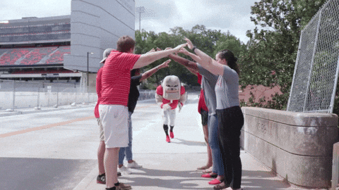 Cheering Win GIF by University of Georgia - Find & Share on GIPHY
