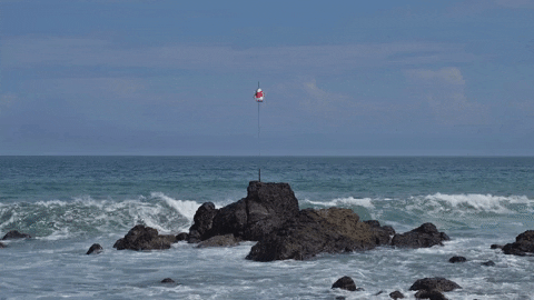 Costa Rica Ocean GIF by Chris Cubellis - Find & Share on GIPHY