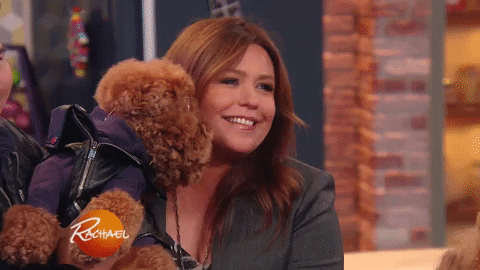 Dog Dress Up GIF by Rachael Ray Show - Find & Share on GIPHY