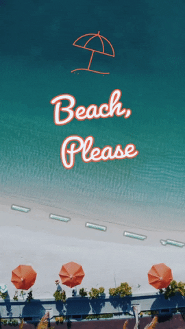 Summer Vacation GIF - Find & Share on GIPHY