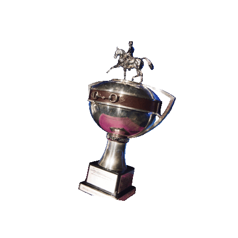 Celebrate Fei World Cup Sticker by FEI Global for iOS & Android | GIPHY