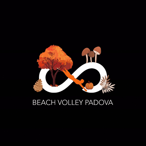 Game Falling GIF by Beach Volley Padova - Find & Share on GIPHY