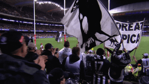 Crowd Magpies GIF by CollingwoodFC - Find & Share on GIPHY