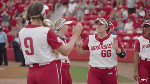 Lets Go Softball GIF by Arkansas Razorbacks - Find & Share on GIPHY
