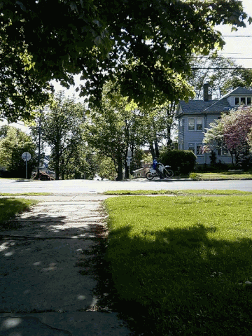 Outdoors GIF - Find & Share on GIPHY