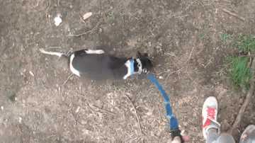 Impressive Most Impressive Gif