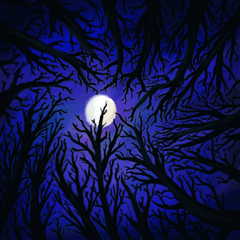 Full Moon Art GIF - Find & Share on GIPHY