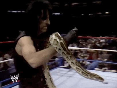 Alice Cooper Wrestling GIF by WWE - Find & Share on GIPHY