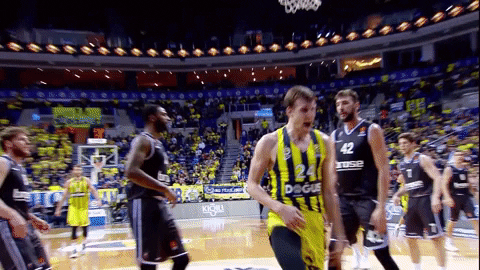 Excited Final Four GIF by EuroLeague - Find & Share on GIPHY