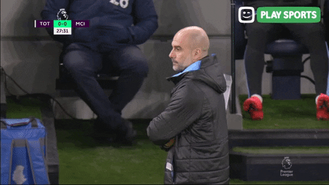 Premier League Yes GIF by Play Sports - Find & Share on GIPHY