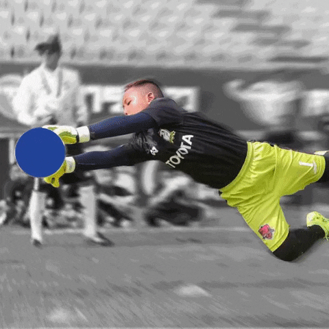 Catch the Soccer Ball – VideosGifs.com