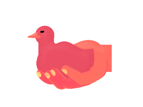 Meme Bird Sticker by gabicrista for iOS & Android | GIPHY