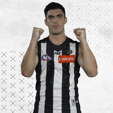 GIF by CollingwoodFC - Find & Share on GIPHY