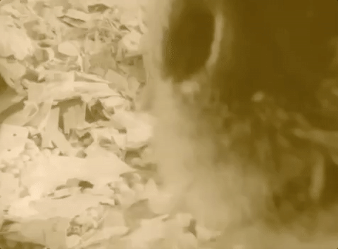 Brain Stew/Jaded GIF by Green Day - Find & Share on GIPHY