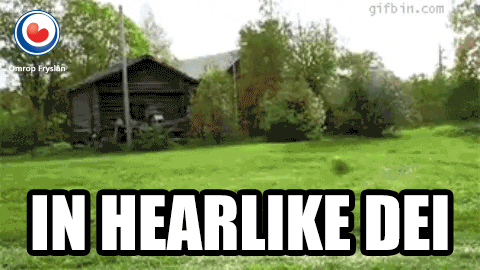 Fries Bg GIF by Omrop Fryslân - Find & Share on GIPHY