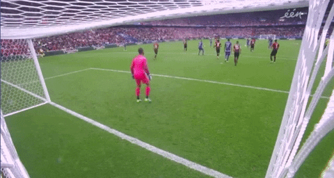 Euro 2016 Goal GIF by Sporza - Find & Share on GIPHY