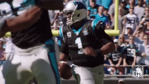 Carolina Panthers Smile GIF by NFL - Find & Share on GIPHY