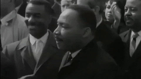 Culture GIF - Find & Share on GIPHY