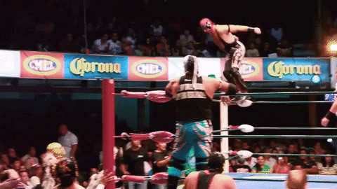 Lucha Libre Mexico GIF - Find & Share on GIPHY