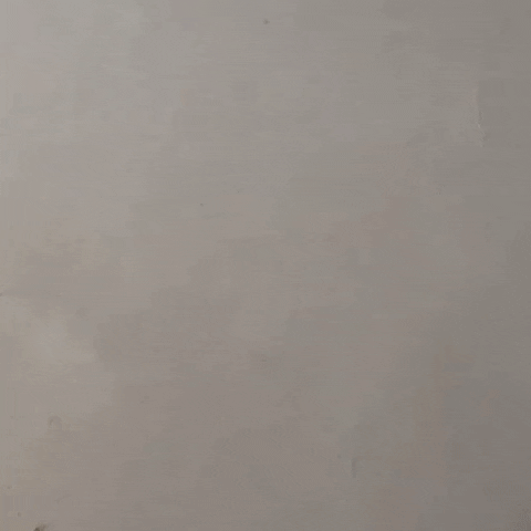 Magic GIF by cintascotch - Find & Share on GIPHY