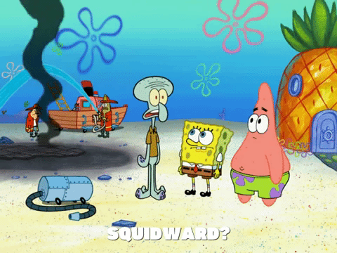 Season 6 Squid'S Visit GIF by SpongeBob SquarePants - Find & Share on GIPHY