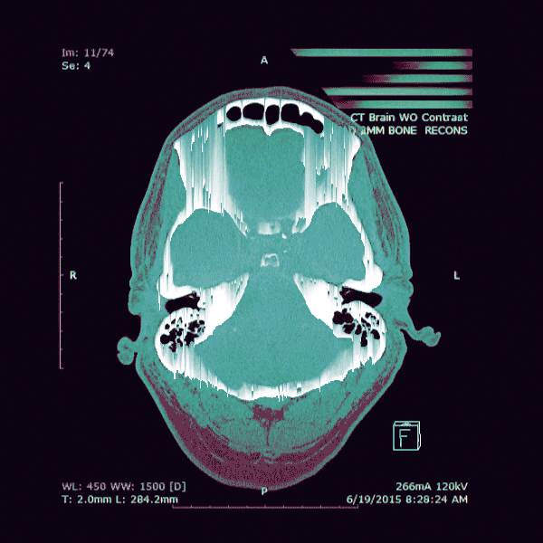 - Find & Share on GIPHY