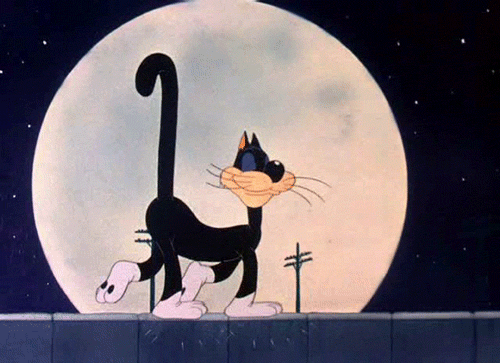 - Find & Share on GIPHY