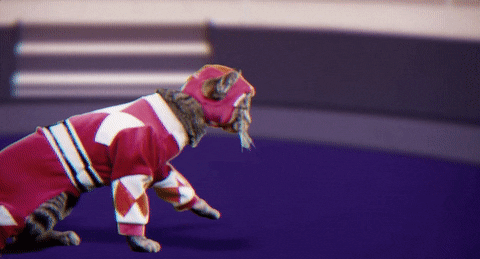 Mighty Morphin Power Rangers Cats GIF by Power Rangers - Find & Share ...