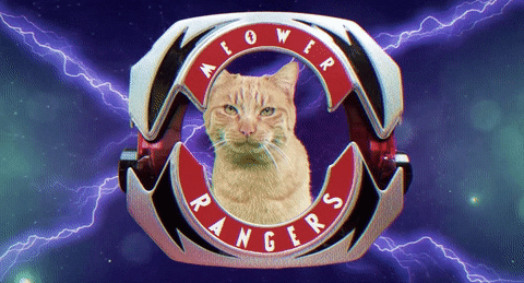 Mighty Morphin Power Rangers Cat GIF by Power Rangers - Find & Share on ...