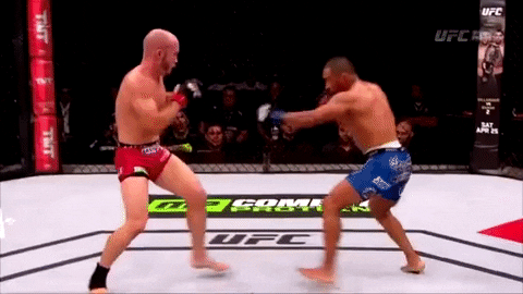 Mma GIF - Find & Share on GIPHY