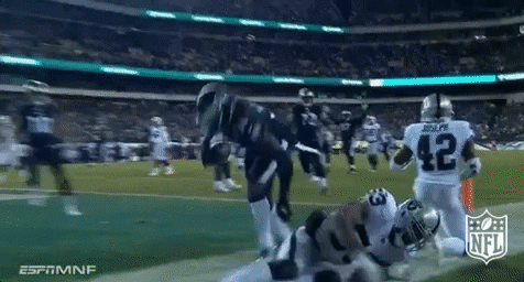 Philadelphia Eagles Football GIF by NFL - Find & Share on GIPHY