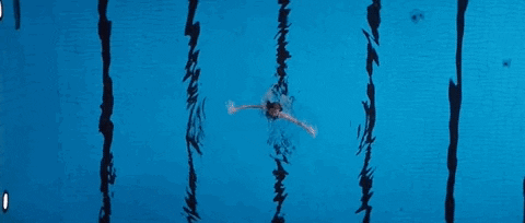 Pool Swimming GIF by The Orchard Films - Find & Share on GIPHY