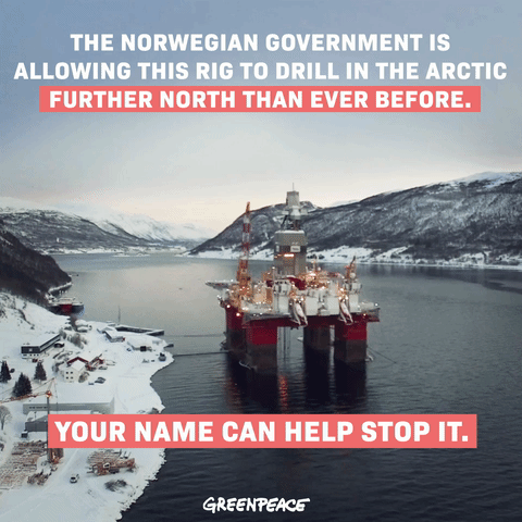 Greenpeace GIF - Find & Share on GIPHY
