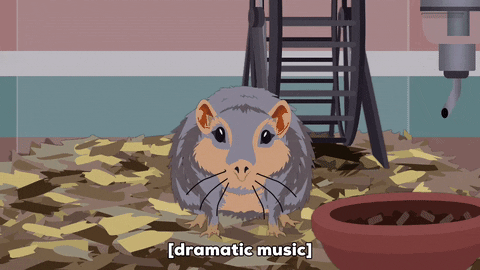Hamster Spirit GIF by South Park - Find & Share on GIPHY