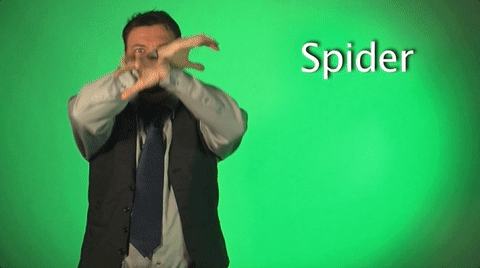 Sign Language Spider GIF by Sign with Robert - Find & Share on GIPHY
