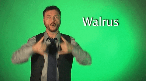 Sign Language Walrus GIF by Sign with Robert - Find & Share on GIPHY