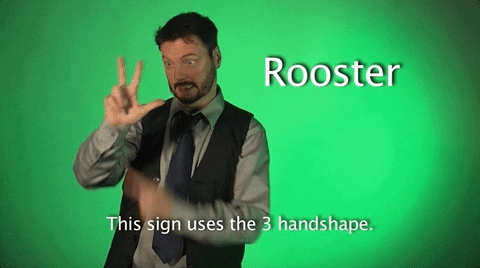 Sign Language Rooster GIF by Sign with Robert - Find & Share on GIPHY