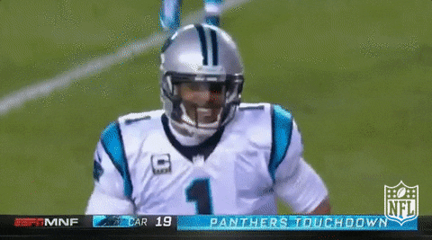 Carolina Panthers Pat On The Back GIF by NFL - Find & Share on GIPHY