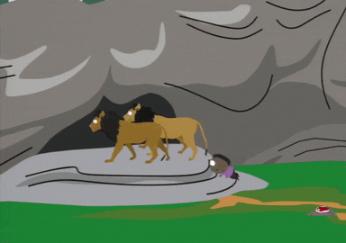 Token Black Lion GIF by South Park - Find & Share on GIPHY