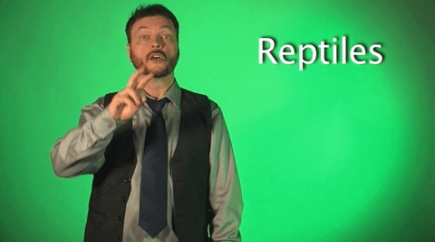 Sign Language Reptiles GIF by Sign with Robert - Find & Share on GIPHY