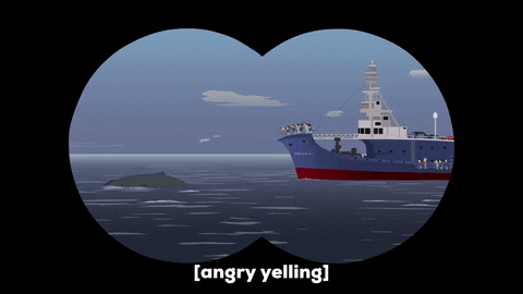 Sea Shepherd Ocean GIF by South Park - Find & Share on GIPHY