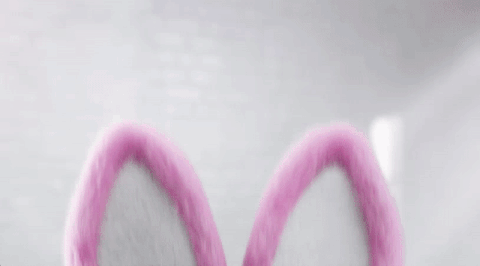 - Find & Share on GIPHY